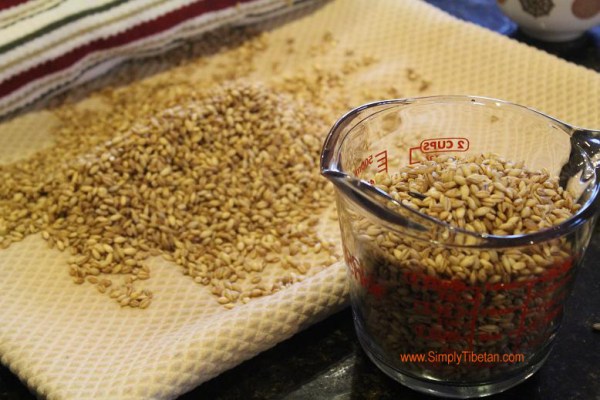 Tsampa | Simply Tibetan, Simply Delicious